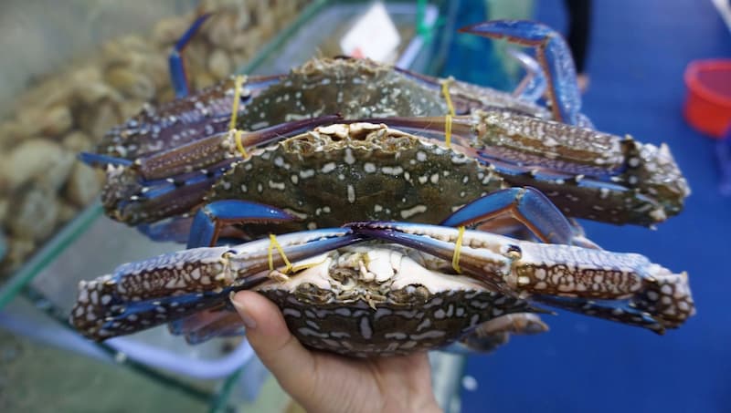 Hướng dẫn cách luộc ghẹ ngon, màu đẹp và không bị rụng càng | Bản Tin ...